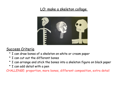 Human Skeleton Collage | Teaching Resources
