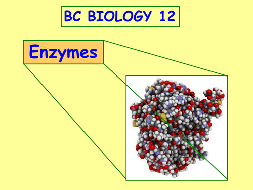 Enzymes Teaching Resources