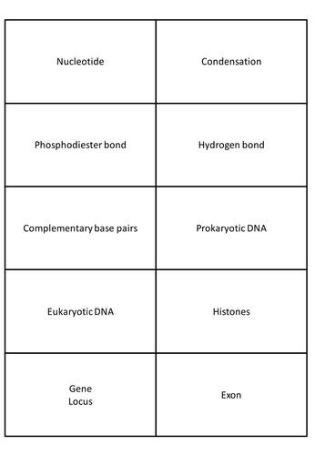 DNA Revision | Teaching Resources