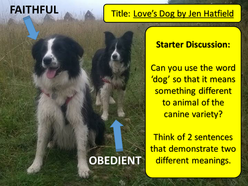 Love's Dog - Jen Hatfield (PowerPoint) | Teaching Resources