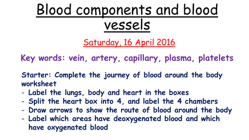 New AQA spec Biology GCSE Blood components and vessels | Teaching Resources