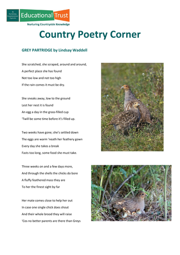 Countryside Poetry Corner Part 1 | Teaching Resources