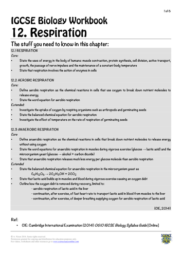 IGCSE Respiration learning mat by kfmr20 - Teaching Resources - TES