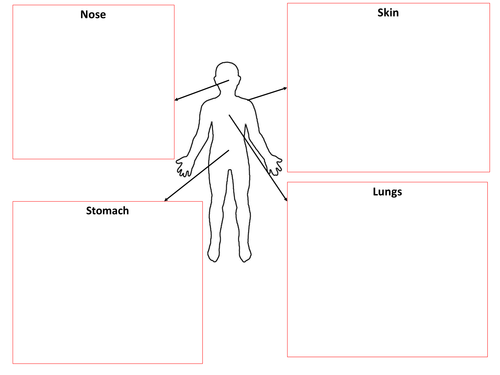 Human Defence Systems | Teaching Resources