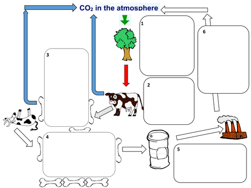 Carbon cycle | Teaching Resources