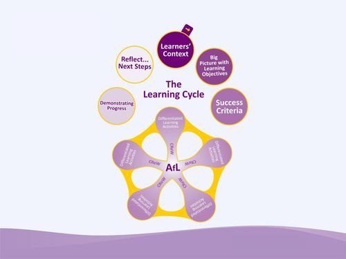 The Learning Cycle | Teaching Resources