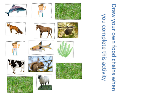 KS1 Food Chains - Differentiated | Teaching Resources