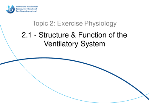 2.1. Structure and Function of the Ventilatory System IB SEHS ...