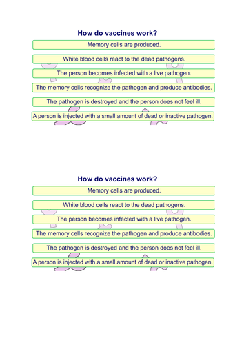 Vaccination Immunization Card Sort | Teaching Resources Vaccination Immunization Card Sort | Teaching Resources