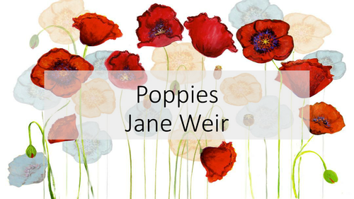 Poppies by Jane Weir | Teaching Resources