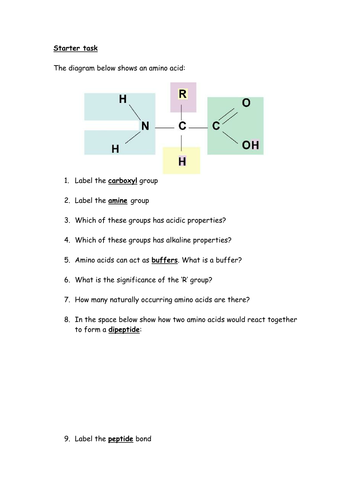Amino acids | Teaching Resources