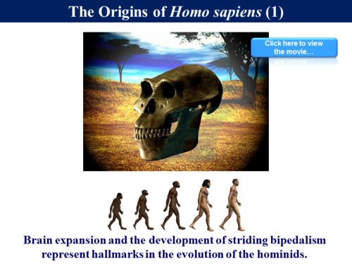 Evolution & the fossil record, B1 Topic 3 Edexcel by - UK Teaching ...