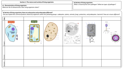 Revision bubble maps Edexcel IGCSE History by - UK Teaching Resources - TES