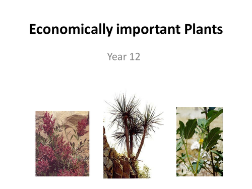 Economically important Plants | Teaching Resources