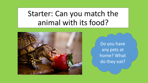 Food Chains for SEN | Teaching Resources