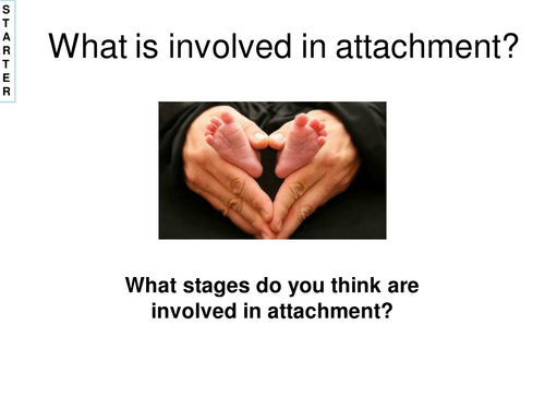 AQA 2015 AS - Schaffer and Emerson stages of attachment - Lesson 2 ...