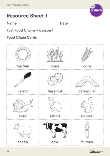 Fast Food Chains Resource Sheets | Teaching Resources