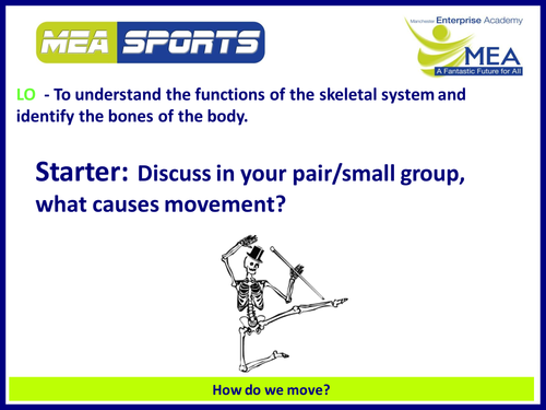 AQA GCSE PE Muscular and skeletal system resources | Teaching Resources AQA GCSE PE Muscular and skeletal system resources | Teaching Resources