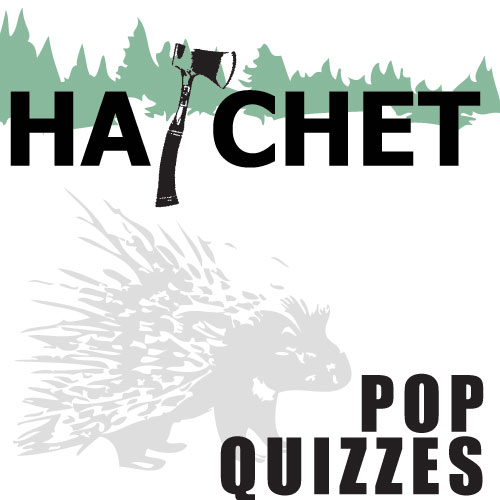 HATCHET 14 Pop Quizzes Bundle (by Gary Paulsen) | Teaching Resources