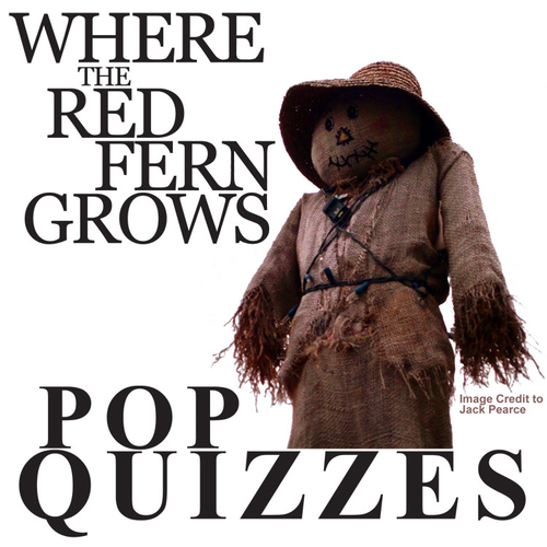 WHERE THE RED FERN GROWS 19 Pop Quizzes Bundle | Teaching Resources