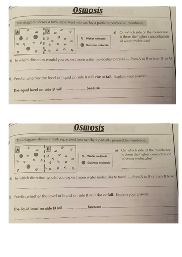 AQA 2016 Specification- Cell Biology- Osmosis | Teaching Resources