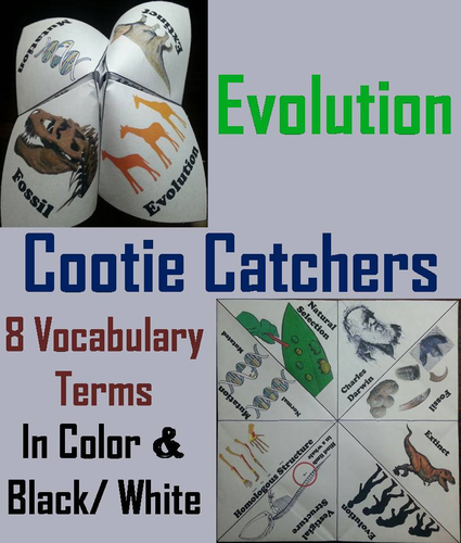 Evolution | Teaching Resources Evolution | Teaching Resources