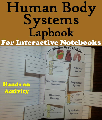 Human Body Systems Lapbook | Teaching Resources