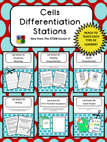 Cells: Differentiation Stations | Teaching Resources