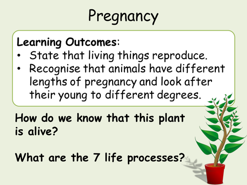 Reproduction Unit Plan (KS3) by helenstamp - UK Teaching Resources - TES