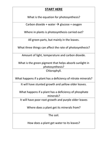 Photosynthesis - Dominoes Card Sort | Teaching Resources