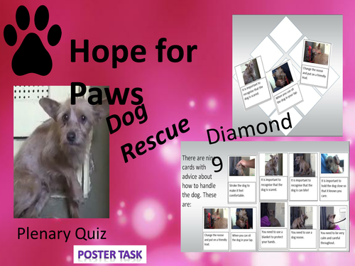 Hope for Paws - Dog Rescue by - UK Teaching Resources - TES