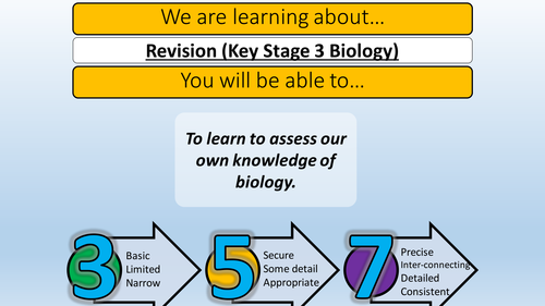 Year 8 Biology - Revision Lesson | Teaching Resources