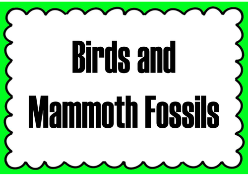 FOSSILS TEACHING RESOURCES KS1, KS2 SCIENCE HISTORY ANIMALS DINOSAURS ...