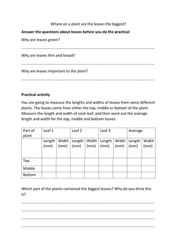 Sizes of Leaves - Practical activity | Teaching Resources