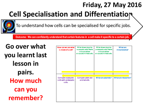 AQA NEW GCSE Biology - Cell Biology l Lesson 2 - Cell Specialisation ... AQA NEW GCSE Biology - Cell Biology l Lesson 2 - Cell Specialisation ...