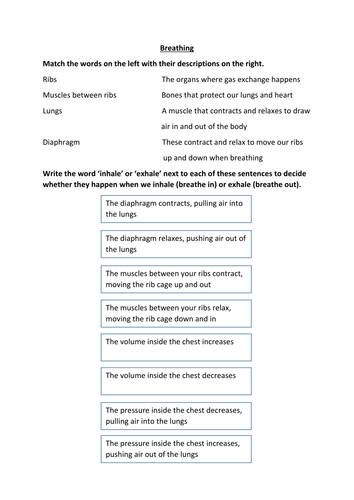 Breathing - Inhaling and Exhaling worksheet | Teaching Resources