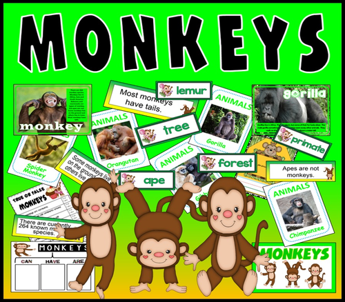 MONKEYS PRIMATES TEACHING RESOURCES KEY STAGE 1-2 SCIENCE DISPLAY ...
