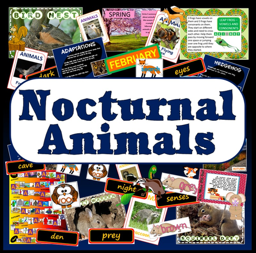 NOCTURNAL ANIMALS TEACHING RESOURCES DISPLAY SCIENCE HIBERNATION KS 1-2 ... NOCTURNAL ANIMALS TEACHING RESOURCES DISPLAY SCIENCE HIBERNATION KS 1-2 ...