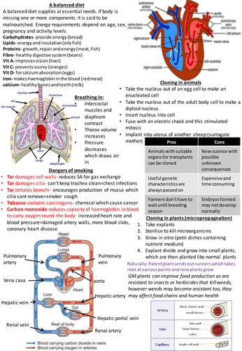 Igcse Biology Revision Notes - Riset Igcse Biology Revision Notes - Riset