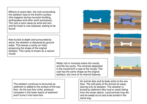 Fordo1's Shop - Teaching Resources - TES