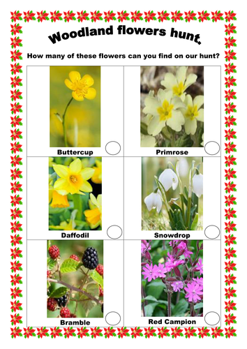KS1 Science Woodland flower hunt activity | Teaching Resources