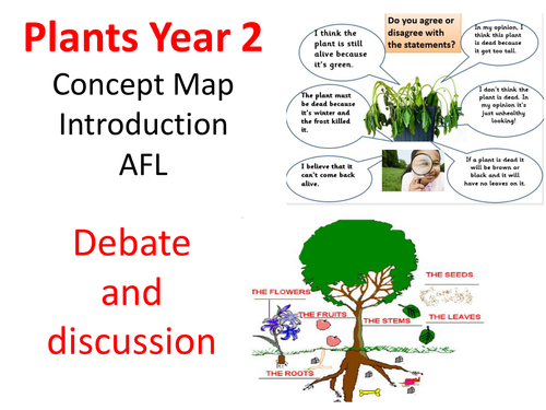 Plants Concept map and Assessment Task | Teaching Resources