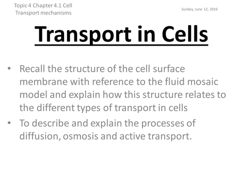 Edexcel Biology B - Topic 4 - Lesson 2 - Cell Transport MEchanisms ...