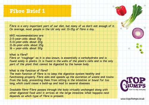 Worksheet on fibre and water by scampbell1993 - Teaching Resources - TES