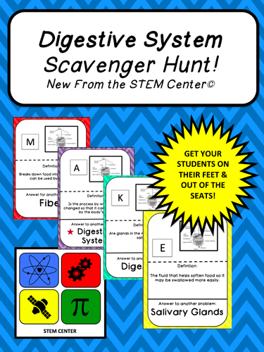 Digestion System SCAVENGER HUNT! | Teaching Resources