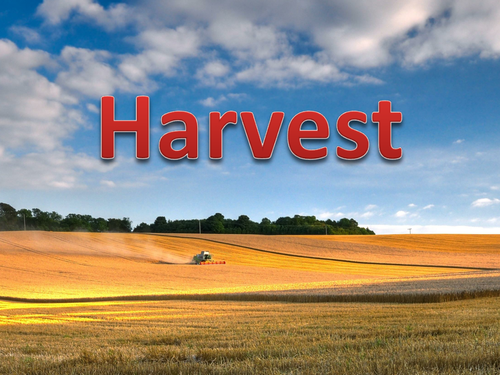 harvest assembly by - UK Teaching Resources - TES