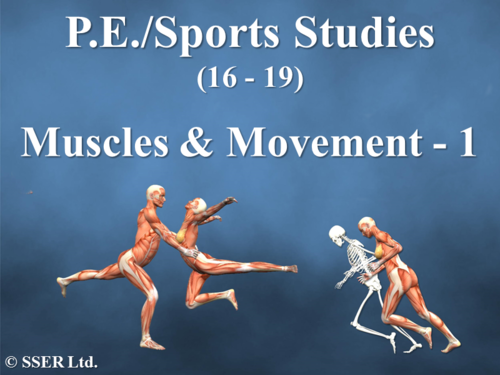 PE_A_Muscles and Movement - 1 | Teaching Resources
