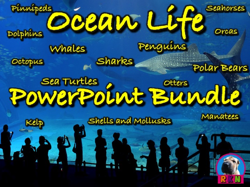 Ocean Life PowerPoint Bundle | Teaching Resources