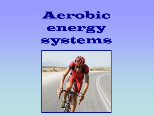 A-level P.E Exercise and Sports Physiology - The Aerobic energy system ...