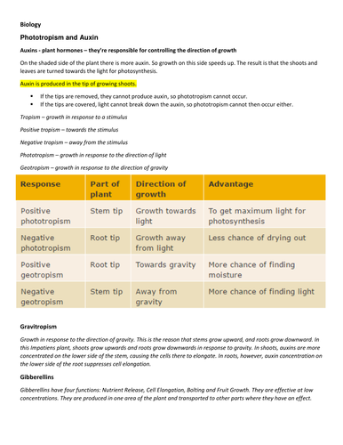 KS3 Science (Year 8) Taboo Game by - UK Teaching Resources - TES